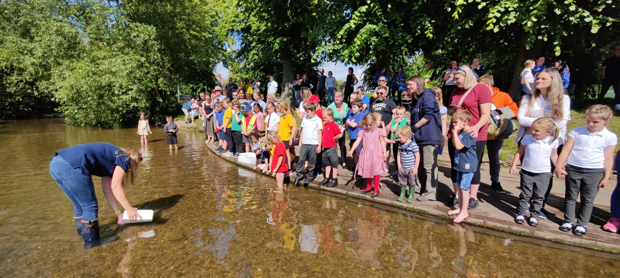 Eels in the Classroom Programme 2021 | Sustainable Eel Group